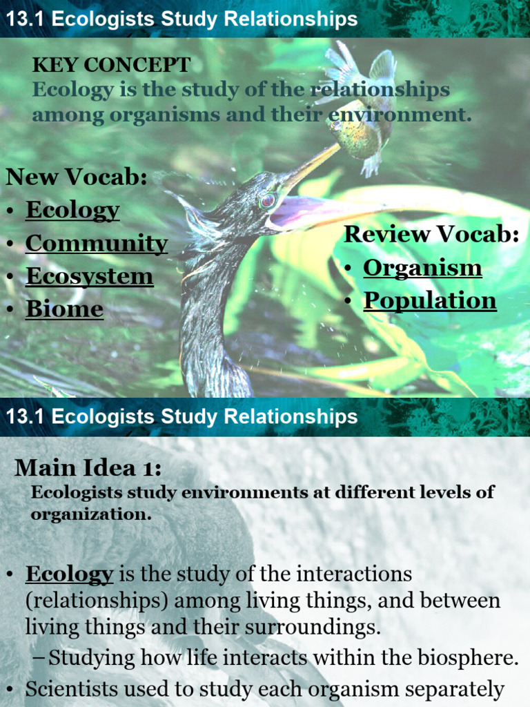 Ecology | PDF