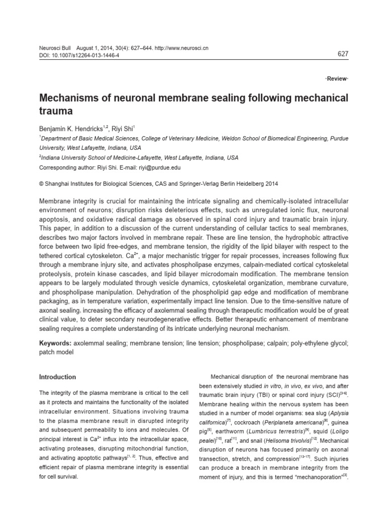 Neuronal Membrane Repair Mechanisms | PDF | Science & Mathematics ...
