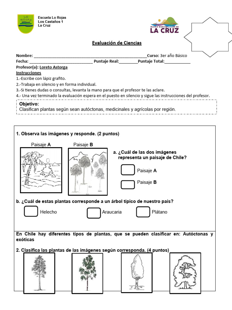 Prueba Las Plantas Chilenas 4to | PDF