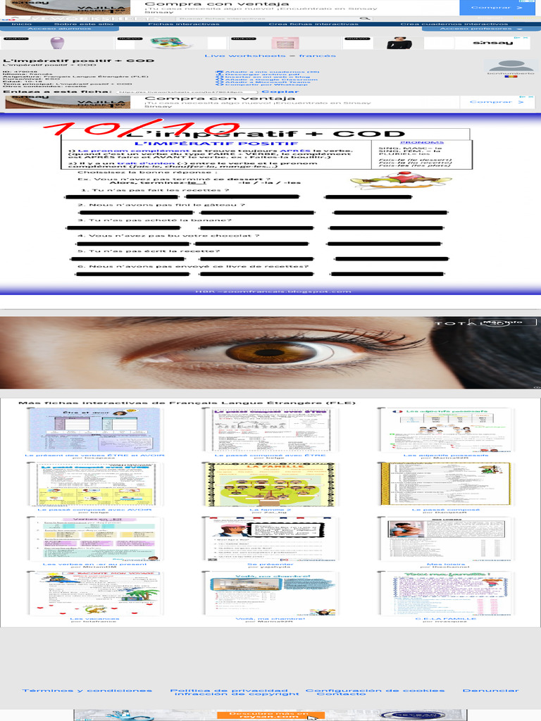 Ejercicio de L'Impératif Positif + COD | PDF | Red mundial | Internet y web
