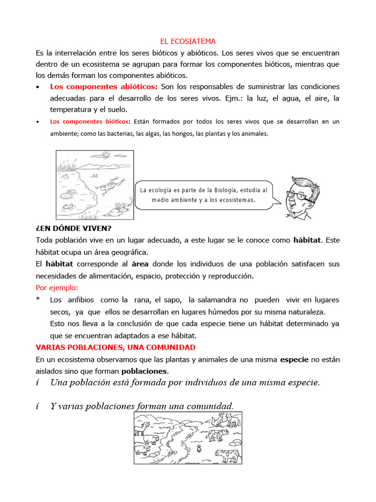 Componentes y Tipos de Ecosistemas | PDF | Ecosistema | Habitat