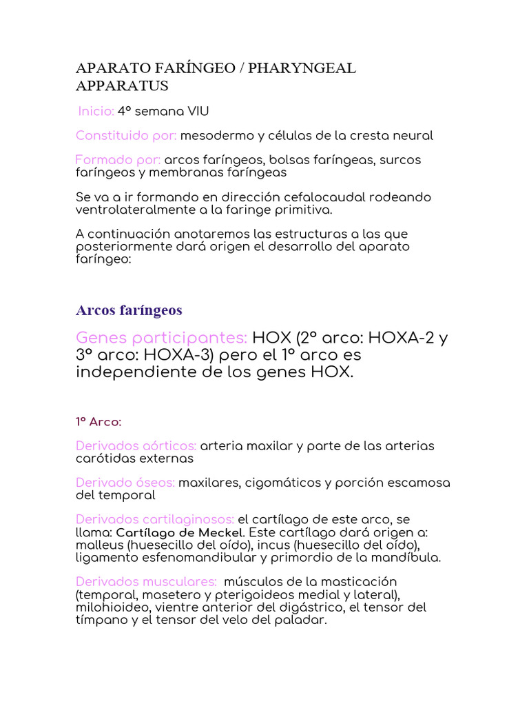 Desarrollo de membranas faringeas | PDF | Anatomía humana | Morfología ...