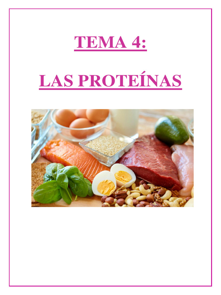 Tema 4 PROTEÍNAS | PDF