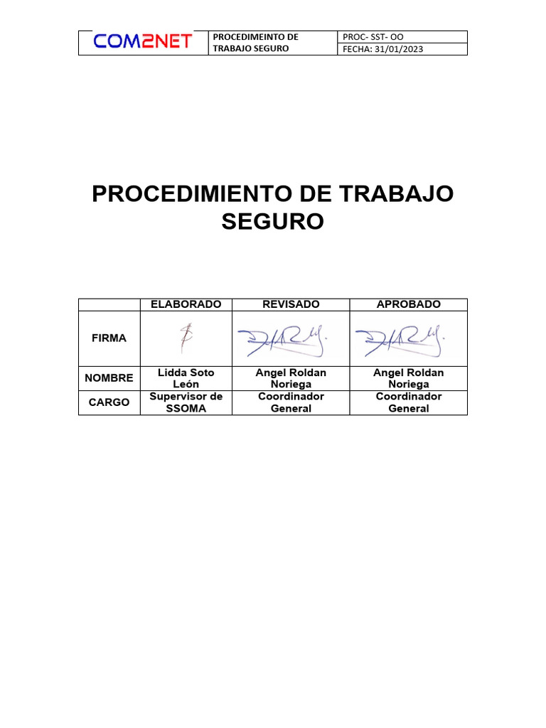 Procedimiento de Trabajo Seguro | PDF