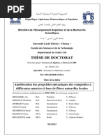 Module de Young et ses applications | PDF | Module de Young ...