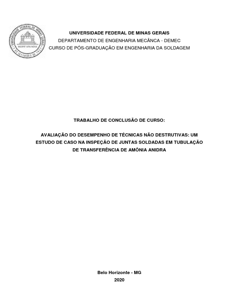 UFMG - TCC Júlio César de Lima Roque | PDF