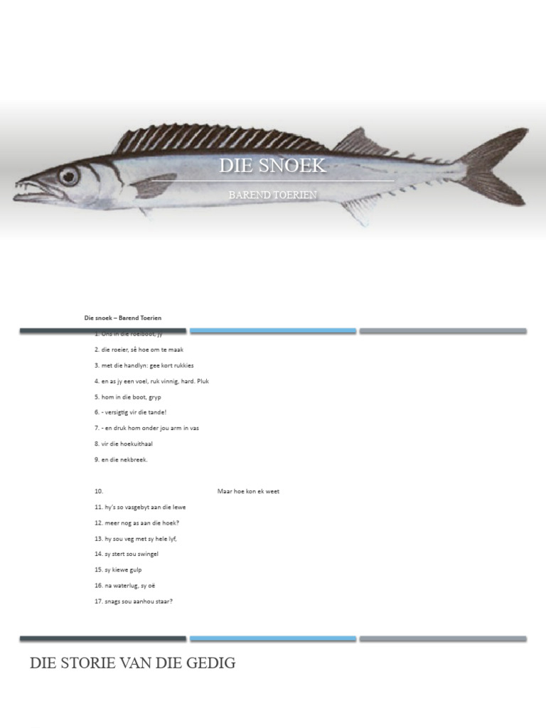 Die Snoek | PDF