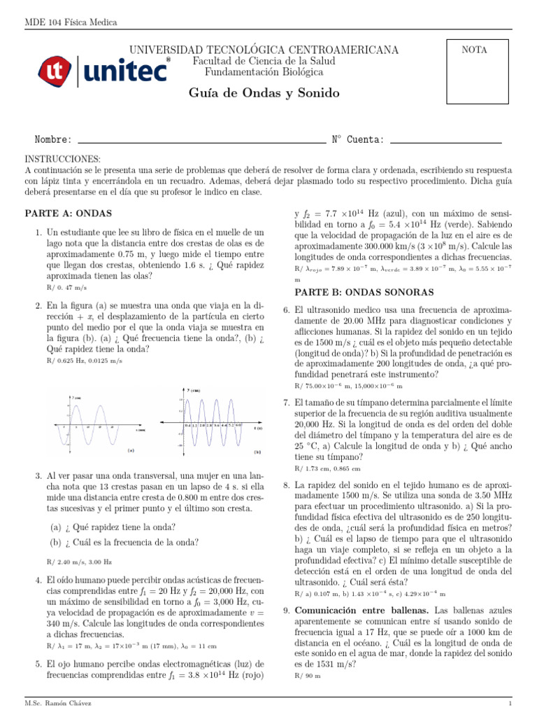 Guia Ondas y Sonidos Sofia Galeano | PDF | Ciencia y matemáticas