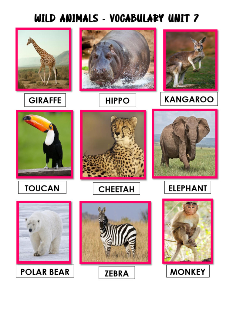 Vocabulary About Wild Animals - Unit 7 - 4 - 144252747 | PDF