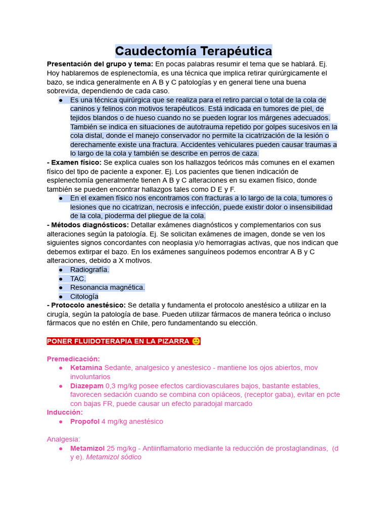 Caudectomía Terapéutica | PDF