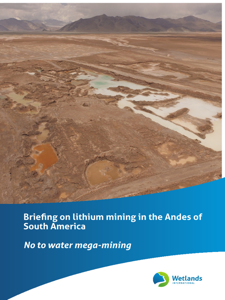 Lithium Mining Position Paper - Final | PDF | Science & Mathematics