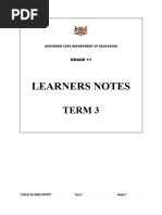 Grade 11 Tsotsi Notes | PDF