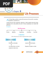 Life Processes Complete Chapter? - CLASS 10 Science - NCERT Covered ...