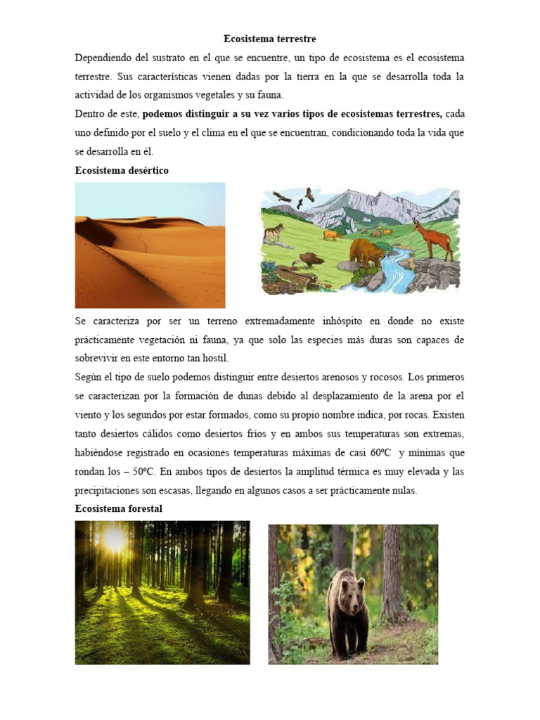 Ecosistema Terrestre | PDF