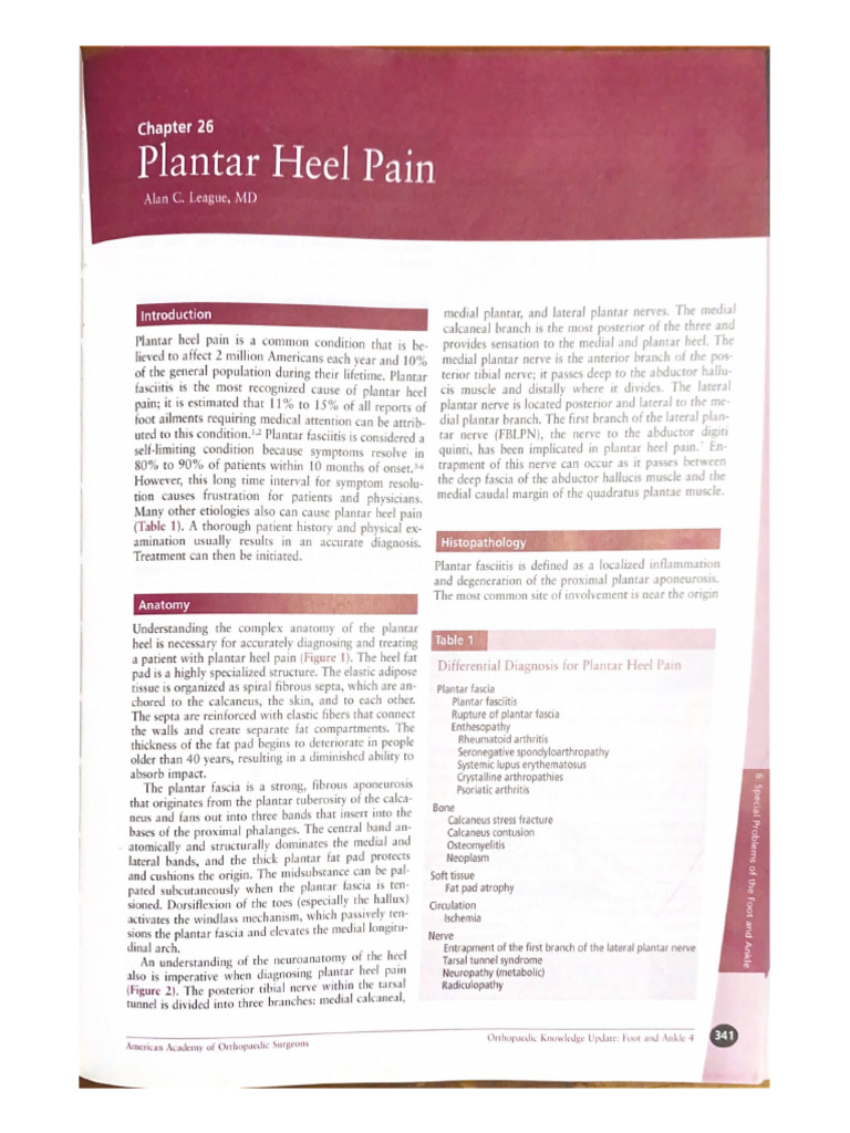 Plantar Heel Pain | PDF