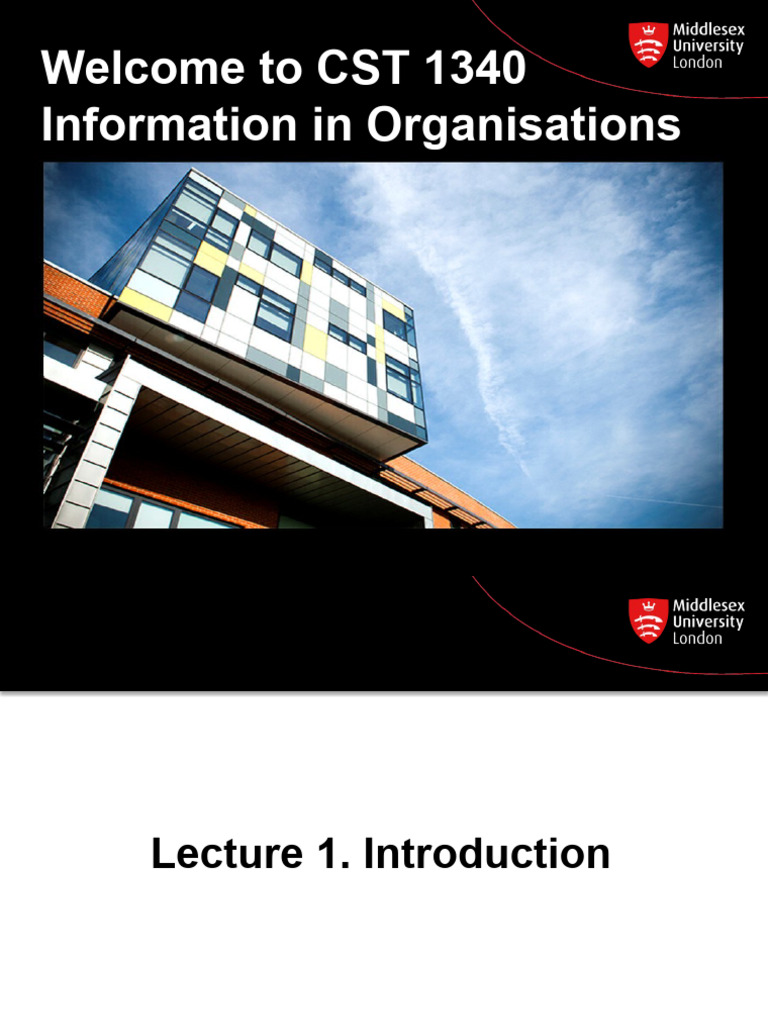 Welcome To CST 1340 Information in Organisations | PDF