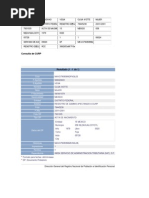 Formato DEL SAT LLENO PDF | PDF | Gobierno | Gobierno y personalidad