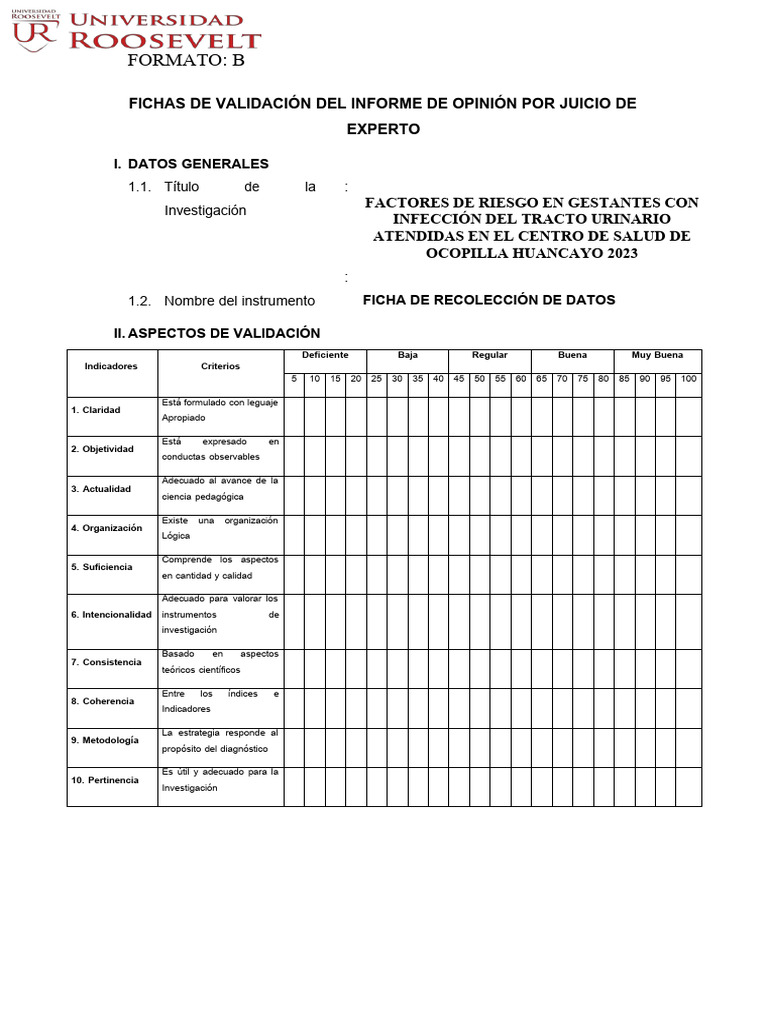 1 - Formato para Validar Fichas de Recolección de Datos | PDF
