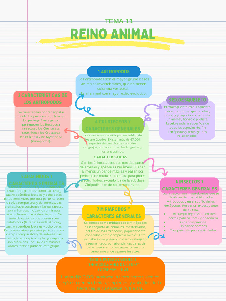 Documento A4 mapa conceptual creativo juvenil colorido | PDF | Araña | Crustáceo