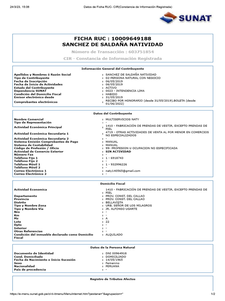 Ficha Ruc Multiservicios Naty | PDF