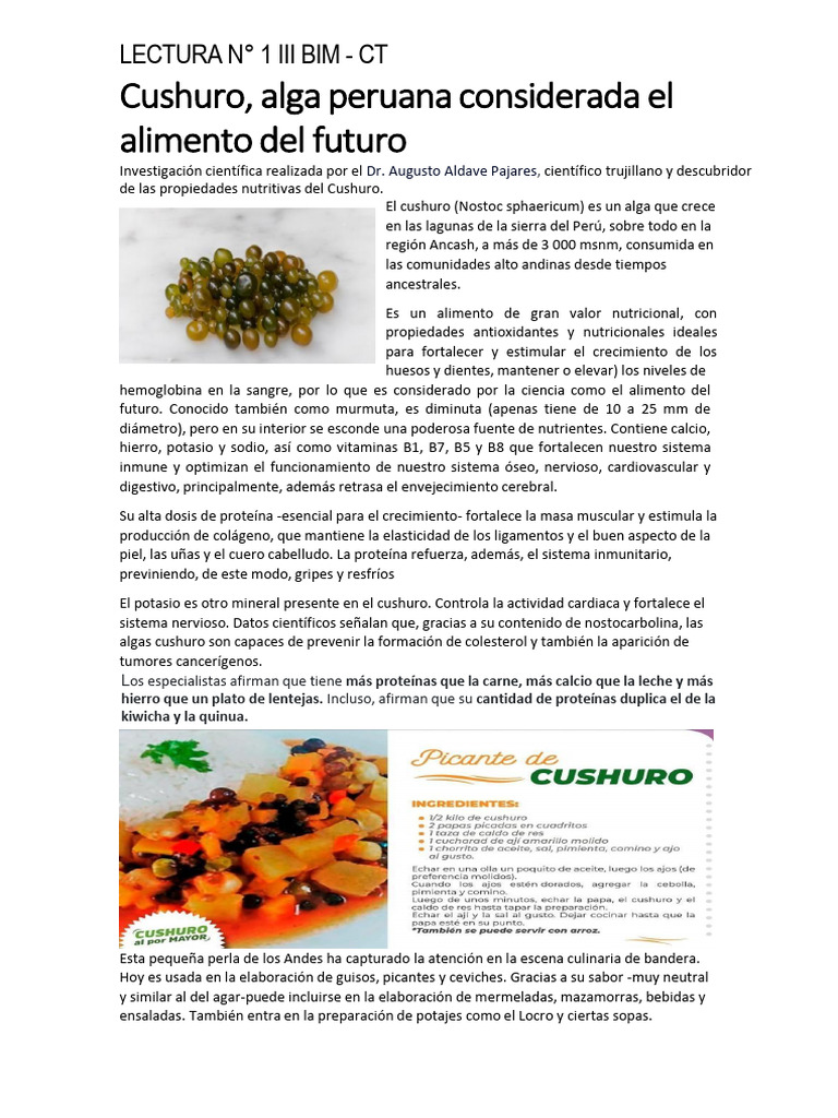 Cushuro: El Alimento del Futuro | PDF