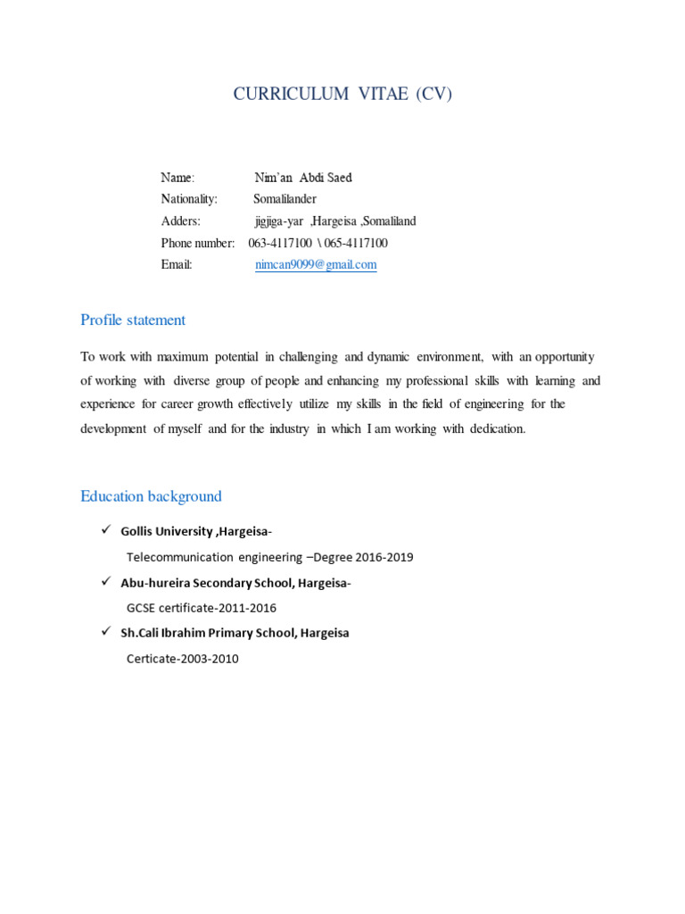 Curriculum Vitae (CV) : Profile Statement | PDF