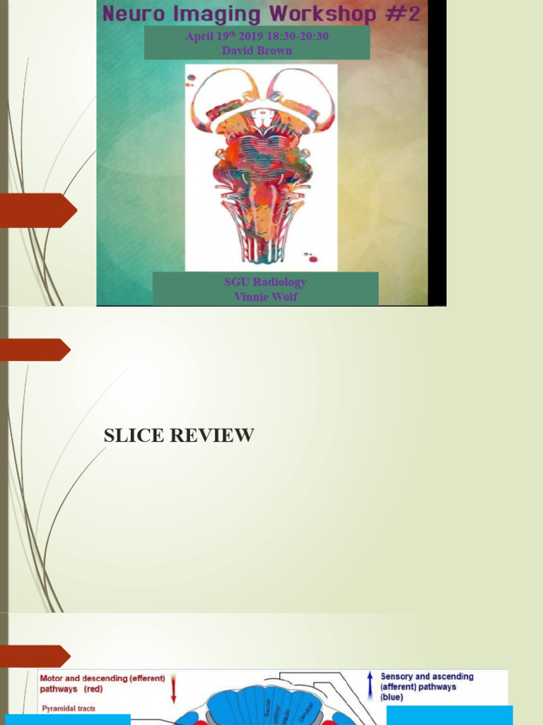 Imaging Workshop 2 | PDF