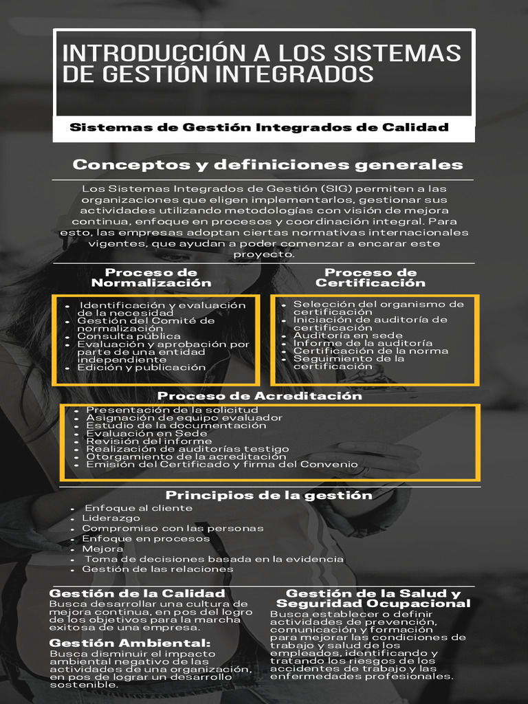 Introduccion A Los Sistemas de Gestion Integrados | PDF | Negocios Introduccion A Los Sistemas de Gestion Integrados | PDF | Negocios
