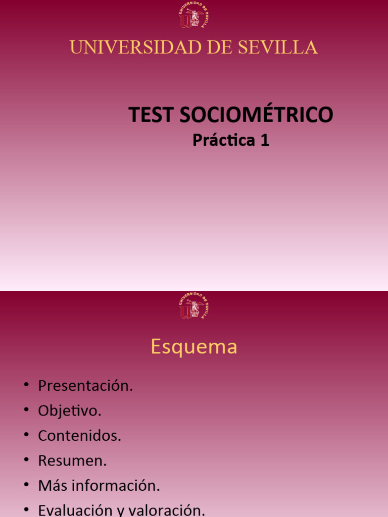 Test Sociométrico: Análisis y Aplicación | PDF