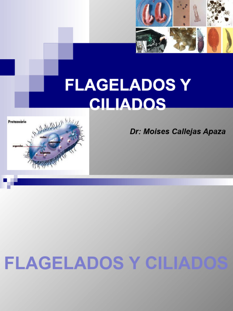 Cap. 15 Flagelados Intestinales y Urugenitales | PDF