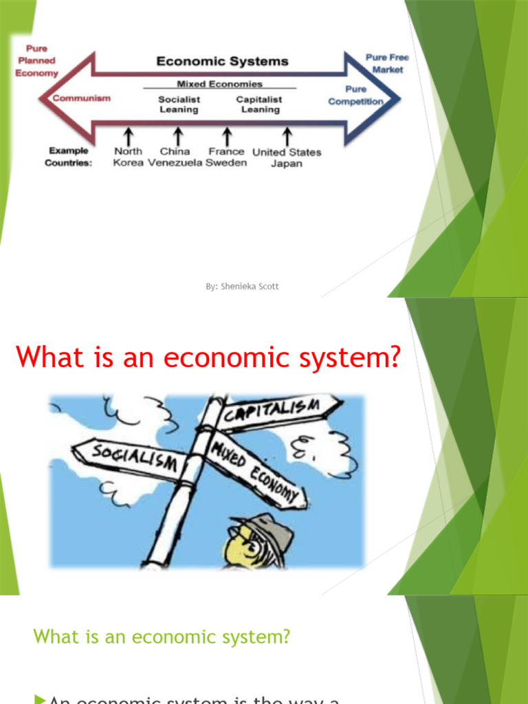 Understanding Economic Systems and Stakeholders | PDF