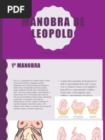 Flashcards Manobras Leopold Detalhado | PDF