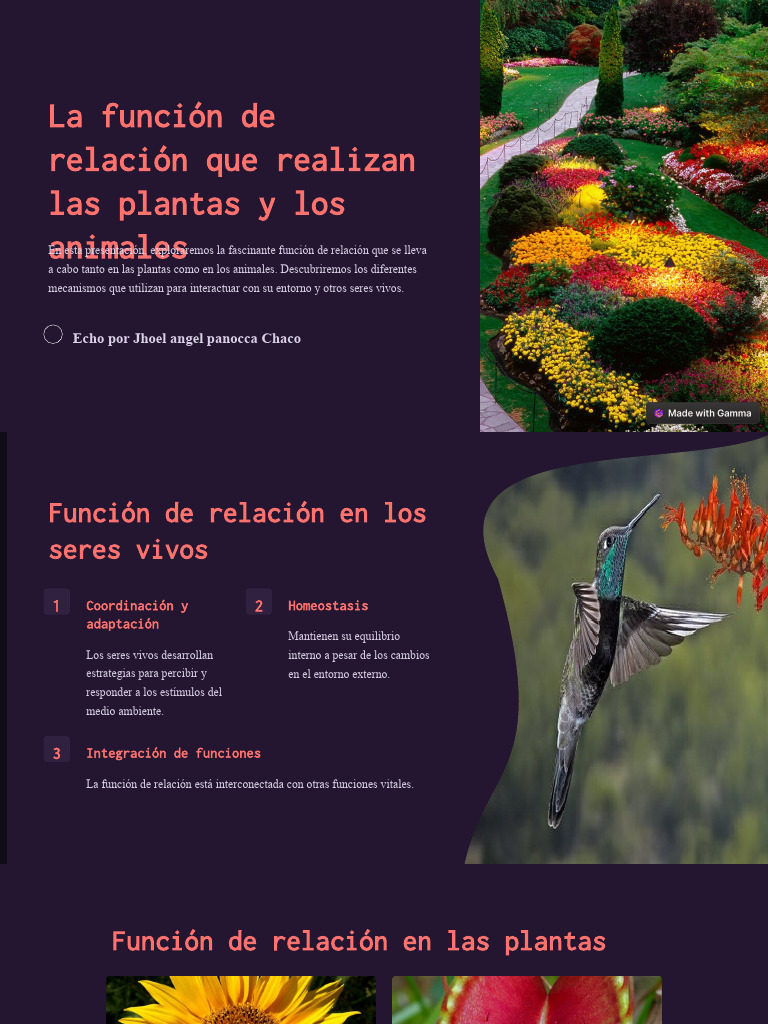 La Funcion de Relacion Que Realizan Las Plantas y Los Animales | PDF