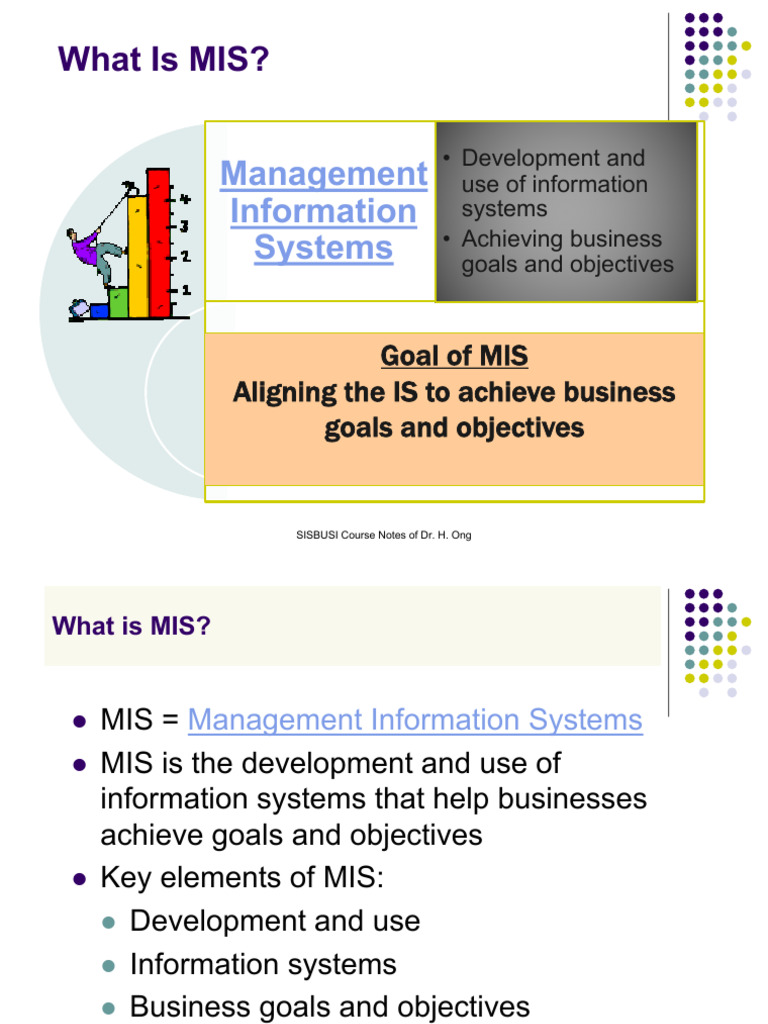 1 0 Intro To Info Systems Ii Pdf