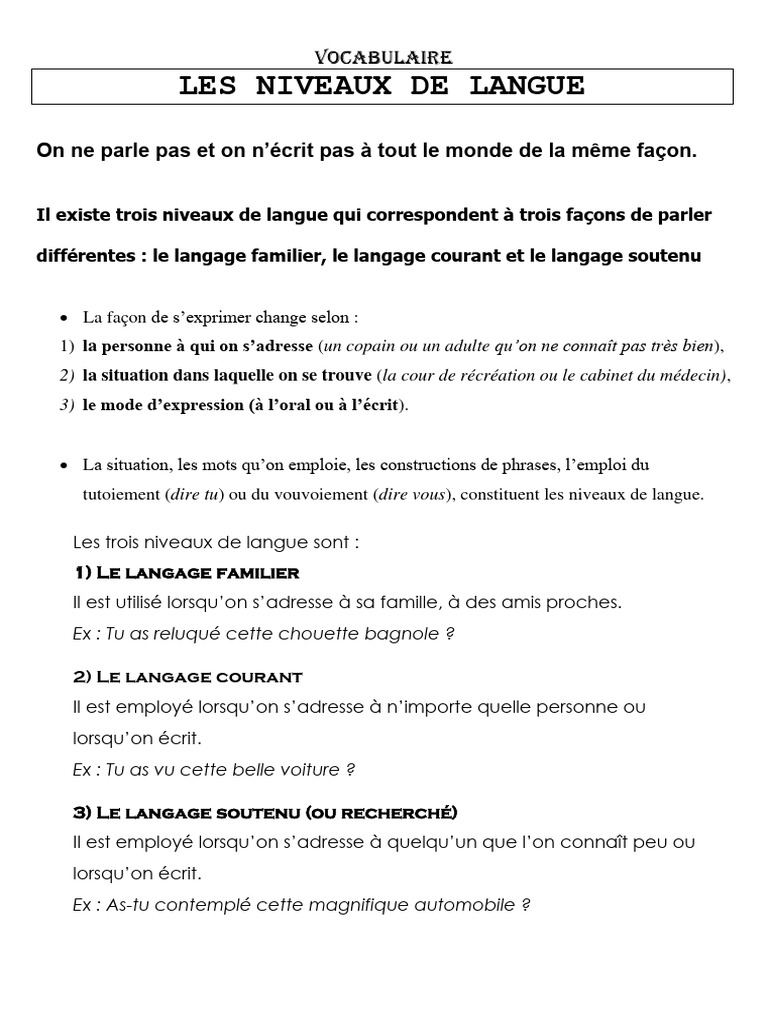 Les Niveaux de Langue Lecon | PDF