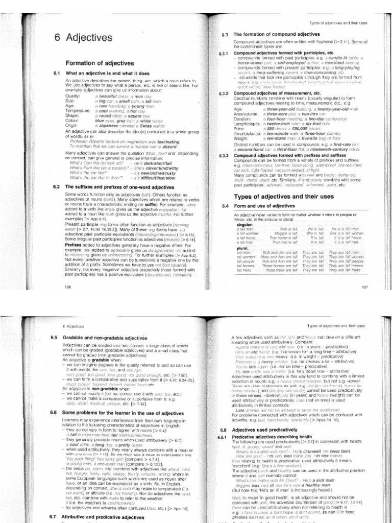 Chapter 6 - Adjectives | PDF