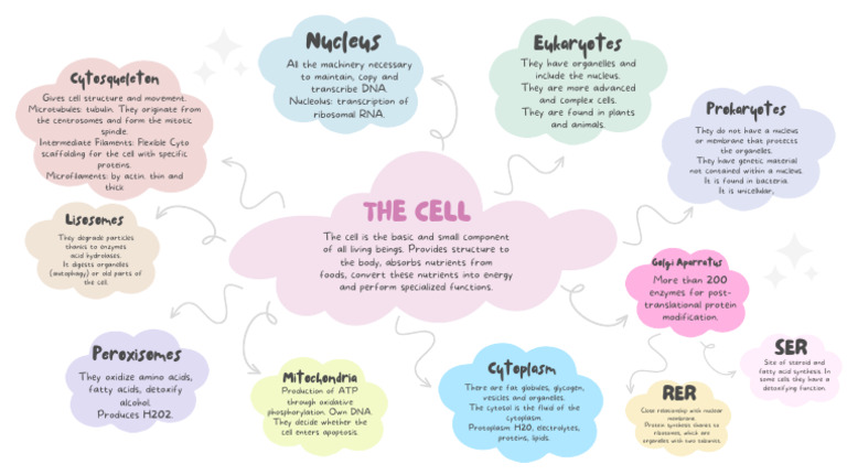 Mind Map | PDF | Cell (Biology) | Cell Nucleus