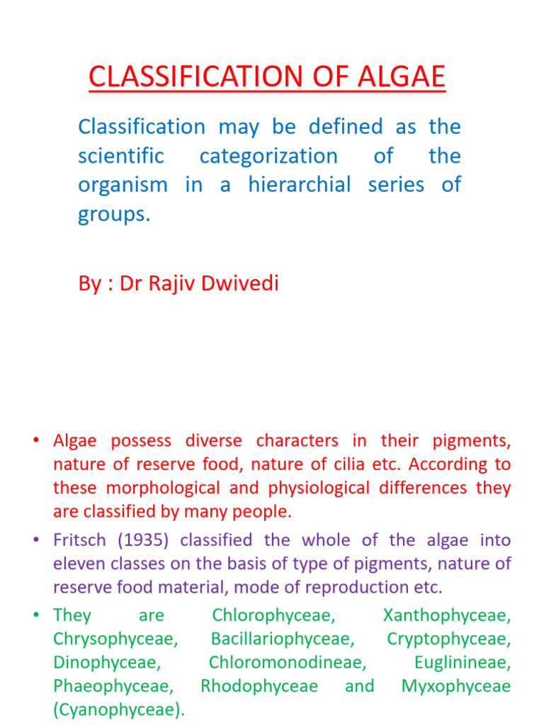 Classification of Algae | PDF