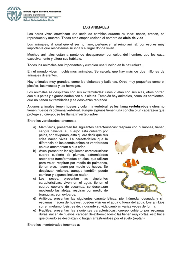 Introducción a los Animales | PDF | Ciencia y matemáticas