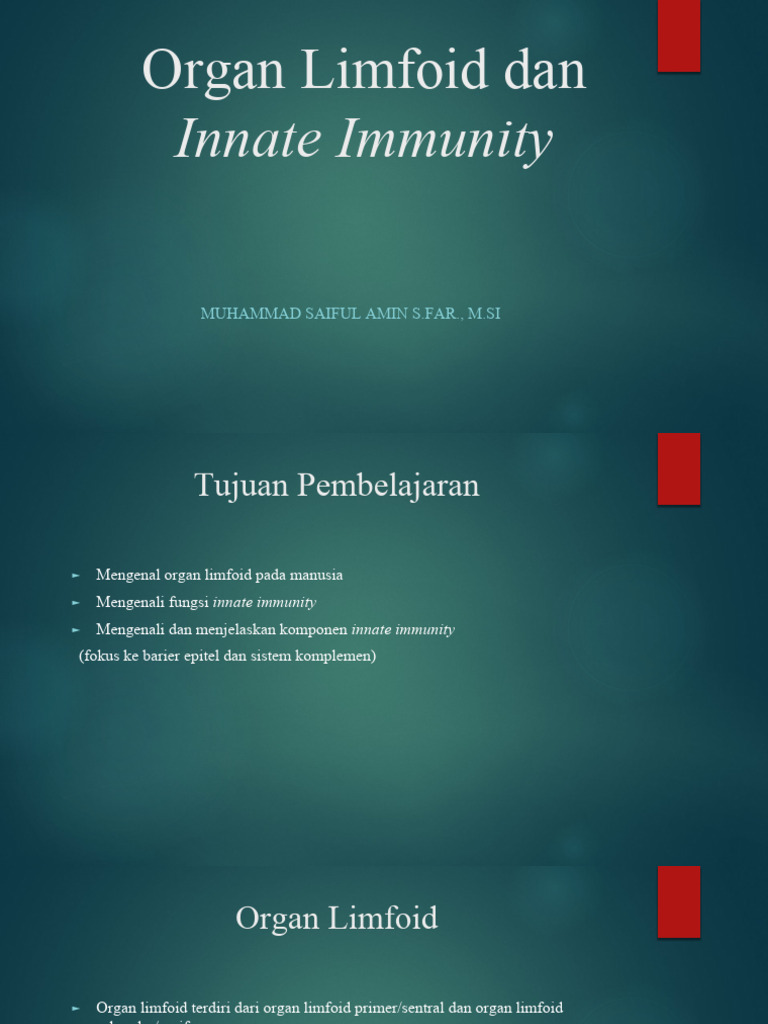 Organ Limfoid | PDF | Pengembangan Diri