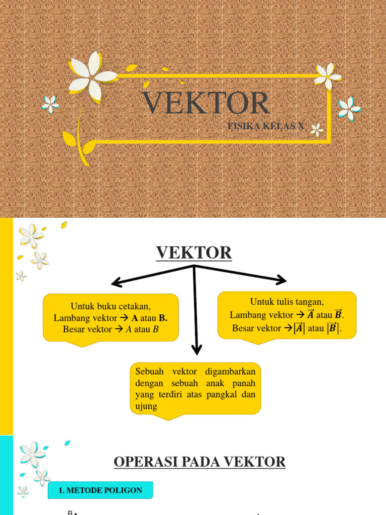 Vektor | PDF