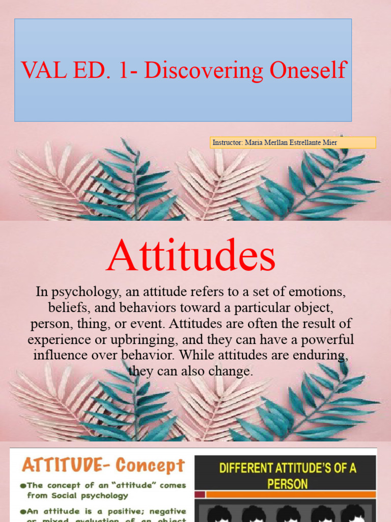 Understanding Attitude Formation and Change | PDF