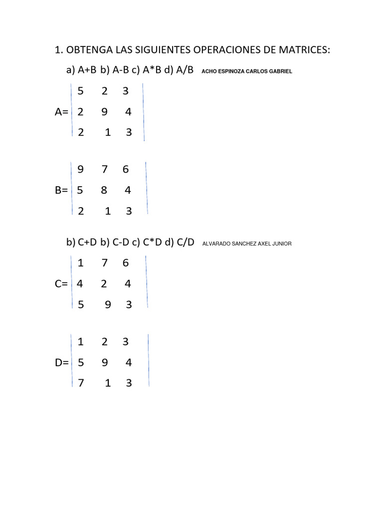 Operaciones con Matrices TAREA ECONOMETRÍA | PDF
