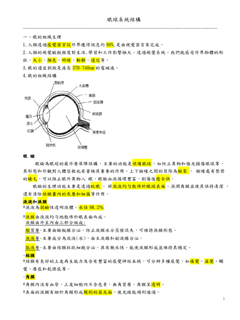 眼球結構 3 | PDF