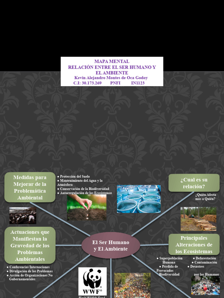 Mapa Mental - El Ser Humano y El Ambiente | PDF