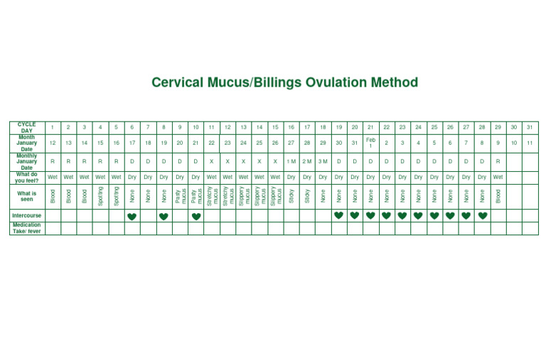 Cervical Mucus-Billings Ovulation Method Chart | PDF