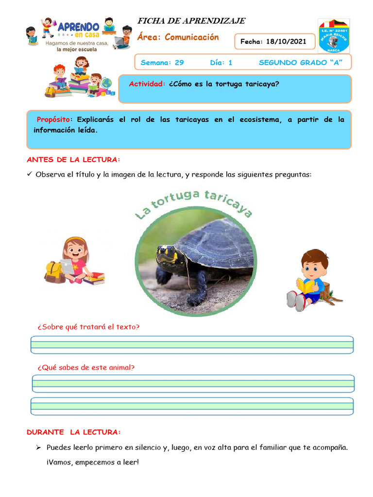 2° Grado Ficha de Aprend. Com.s29 D1-2021 | PDF