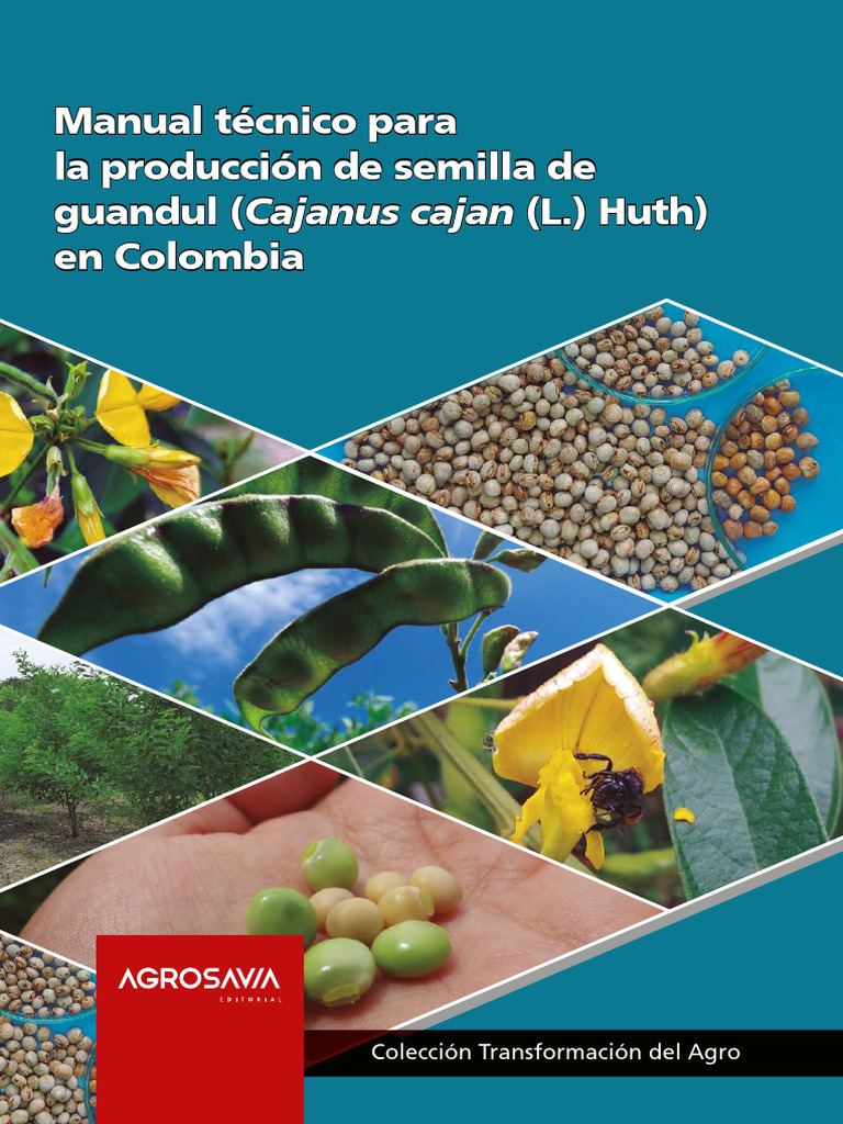 Producción de semilla de guandul en Colombia | PDF | Tecnología