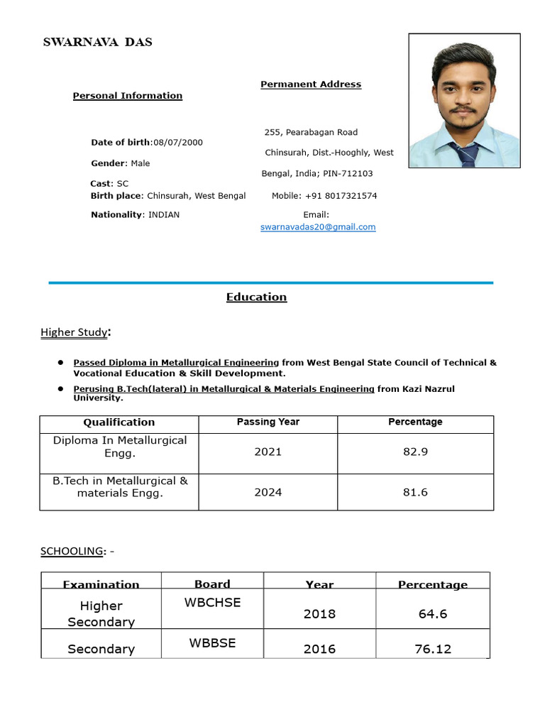Metallurgy Swarnava Das | PDF