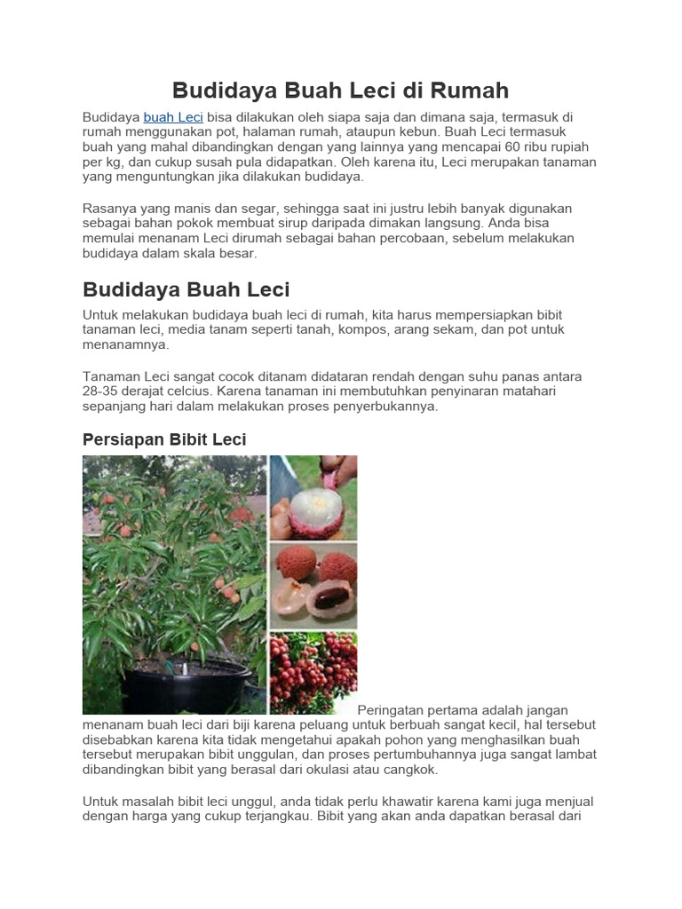 Budidaya Buah Leci Di Rumah | PDF | Griya & Taman | Sains & Matematika